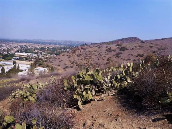 Nature Walks « Myrons Mopeds